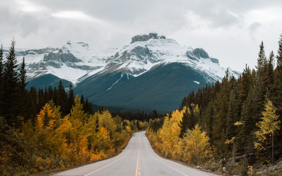 What to Do in Banff This Fall Season: A Foliage Guide