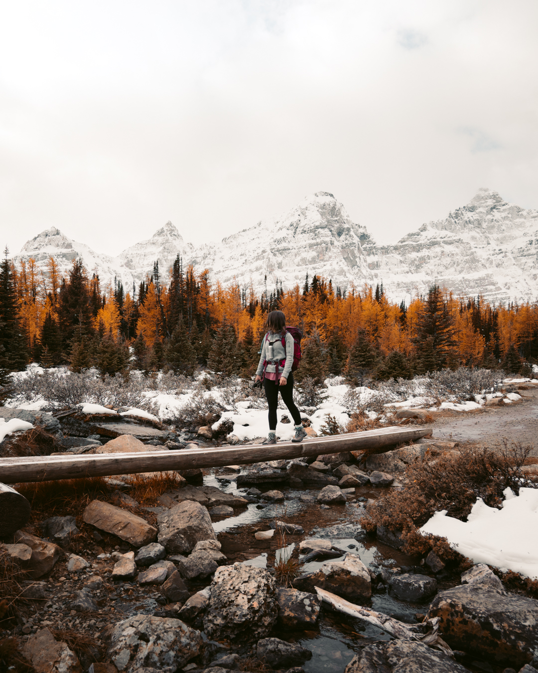 What To Do In Banff This Fall Season: A Foliage Guide - Dani The Explorer