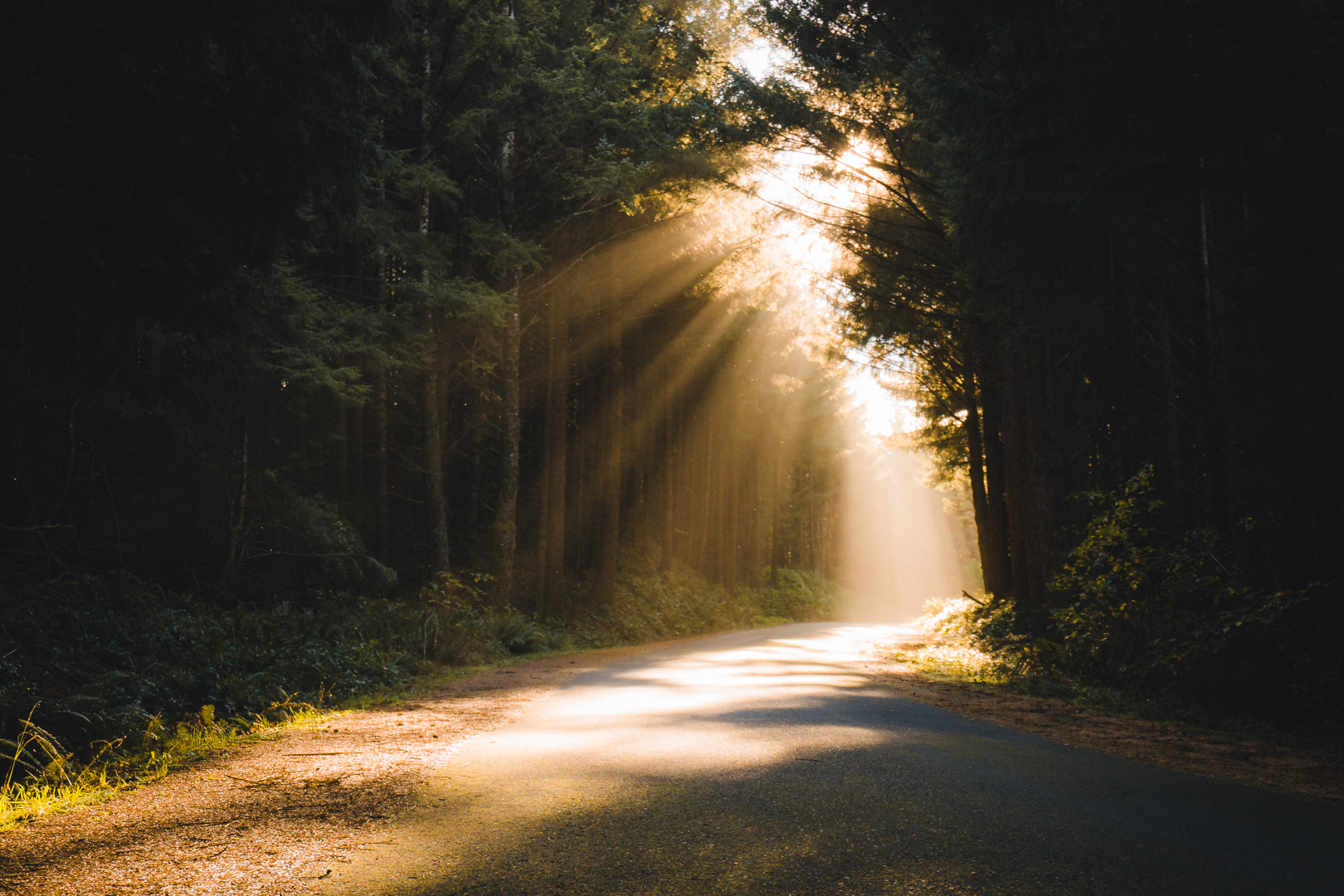 How To Become An Adventure Photographer - Dani The Explorer