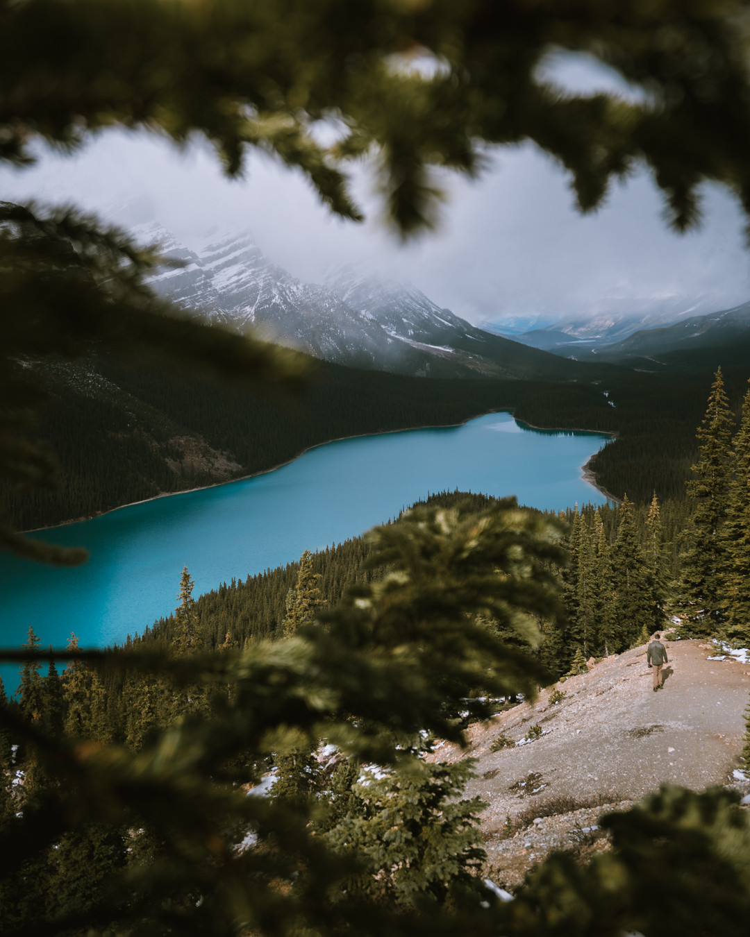 What To Do In Banff This Fall Season: A Foliage Guide - Dani The Explorer