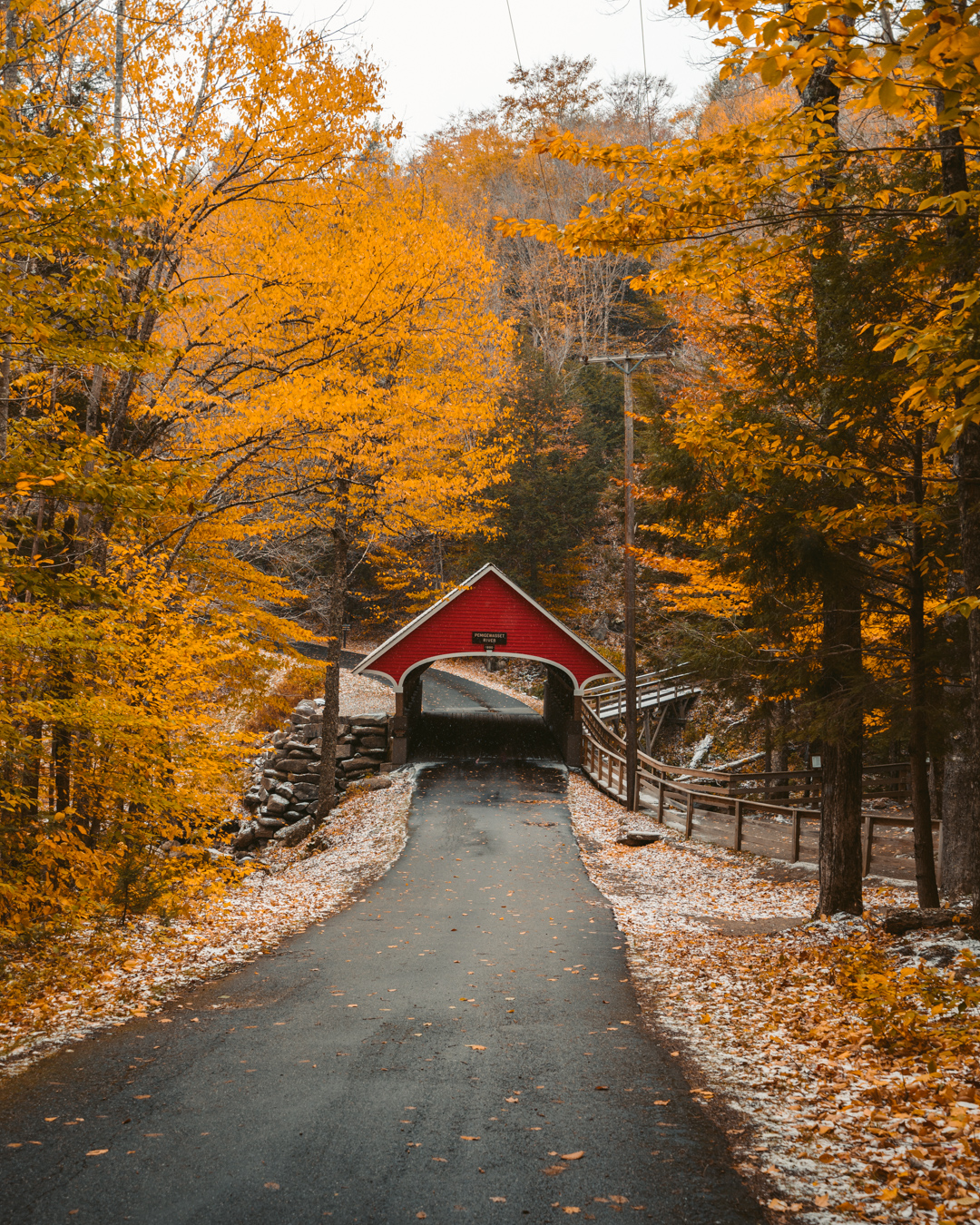 Jaw Dropping New England Fall Road Trip - Dani The Explorer