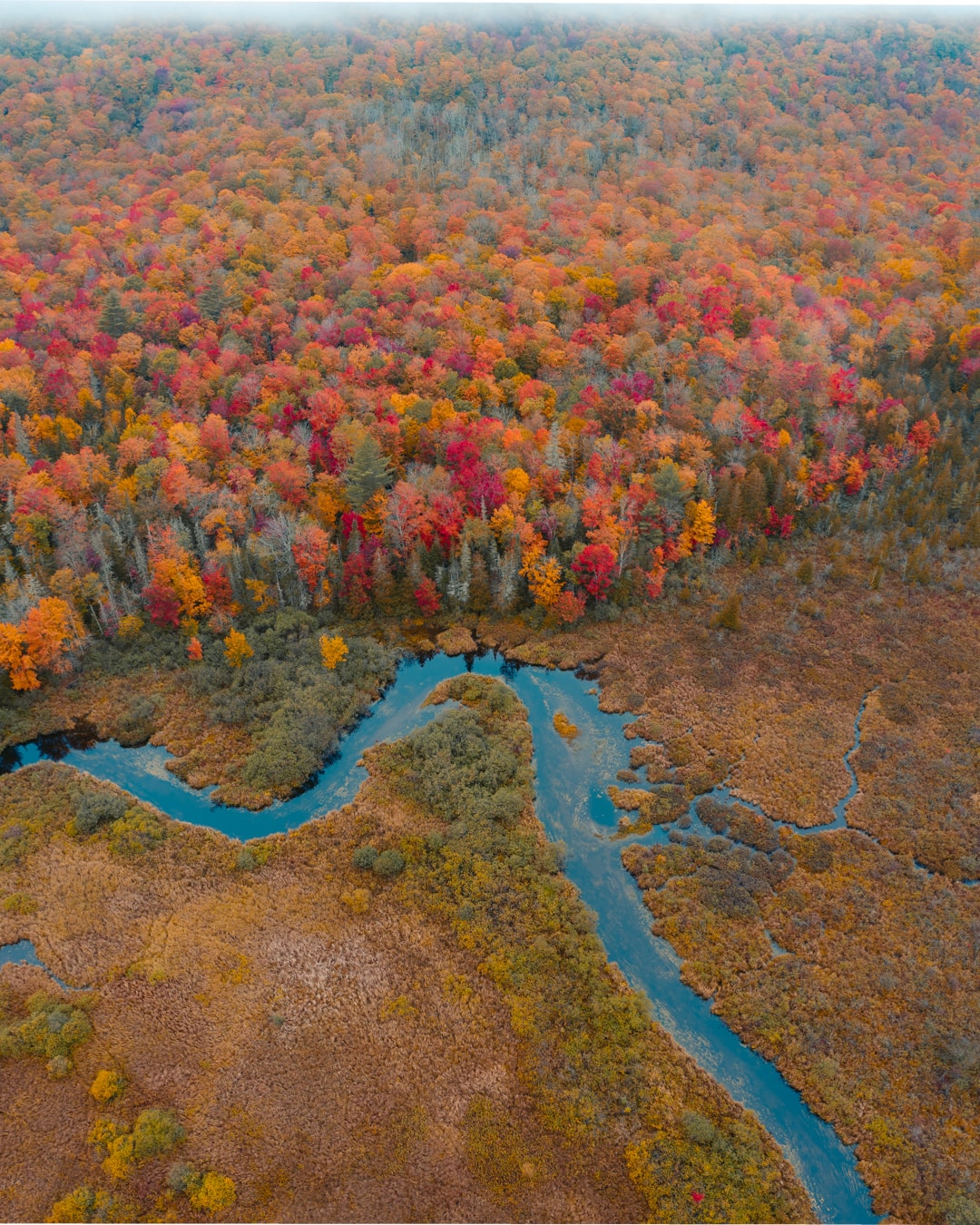 A New England Fall Road Trip For PSL And Fall Color Lovers a-new-england-fall-road-trip-for-psl-and-fall-color-lovers