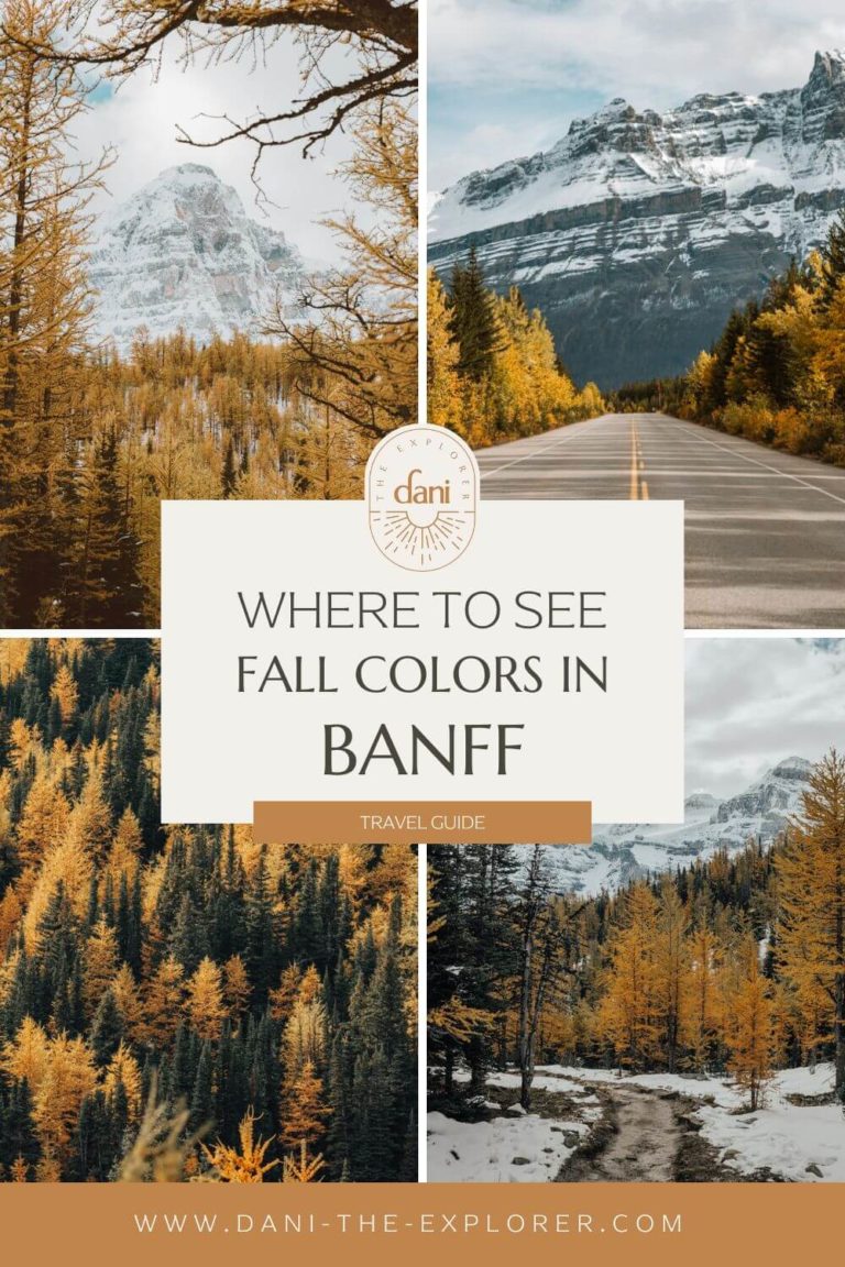 What to Do in Banff This Fall Season: A Foliage Guide