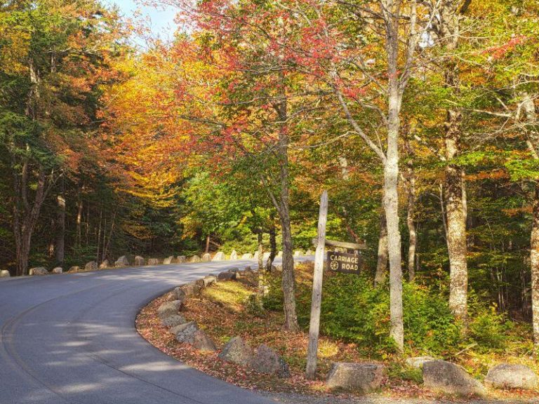 ULTIMATE Acadia National Park Fall Guide: Things To Do & More