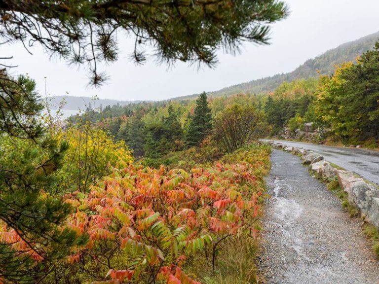 ULTIMATE Acadia National Park Fall Guide: Things To Do & More