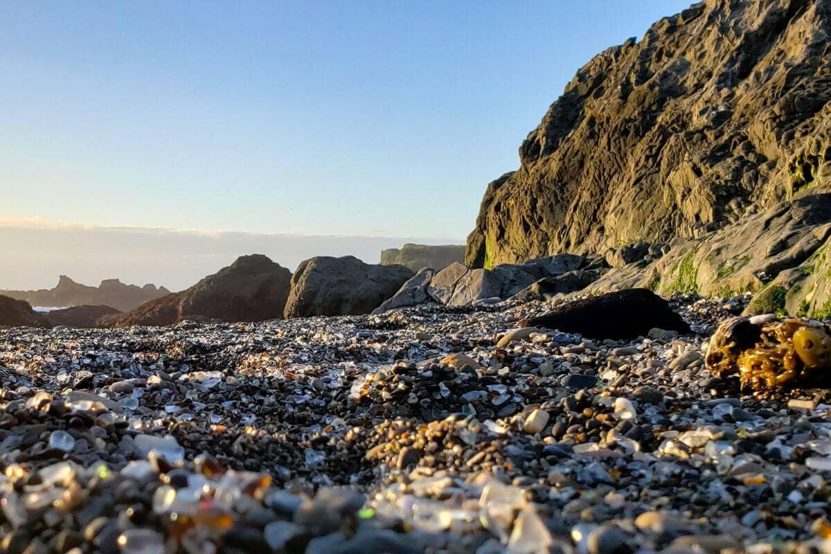 EPIC Yosemite to Redwood National Park Road Trip | 4-Day Itinerary