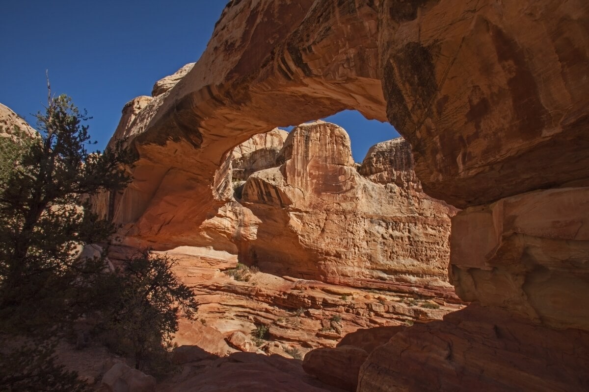 BUCKET LIST Capitol Reef National Park One Day Itinerary - Dani The ...