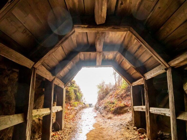 13 Best Stops Along Big Sur Highway 1 You Must See - Dani The Explorer