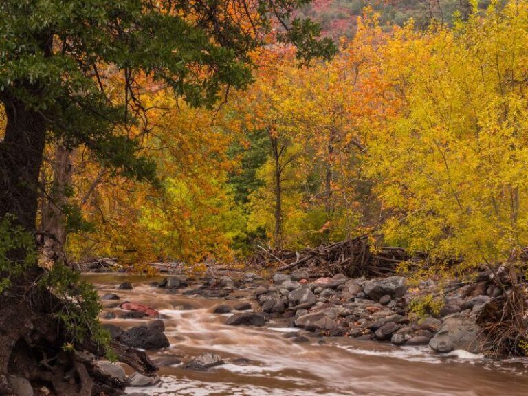 5 Incredible Ways to Experience Sedona in the Fall (Full Guide)